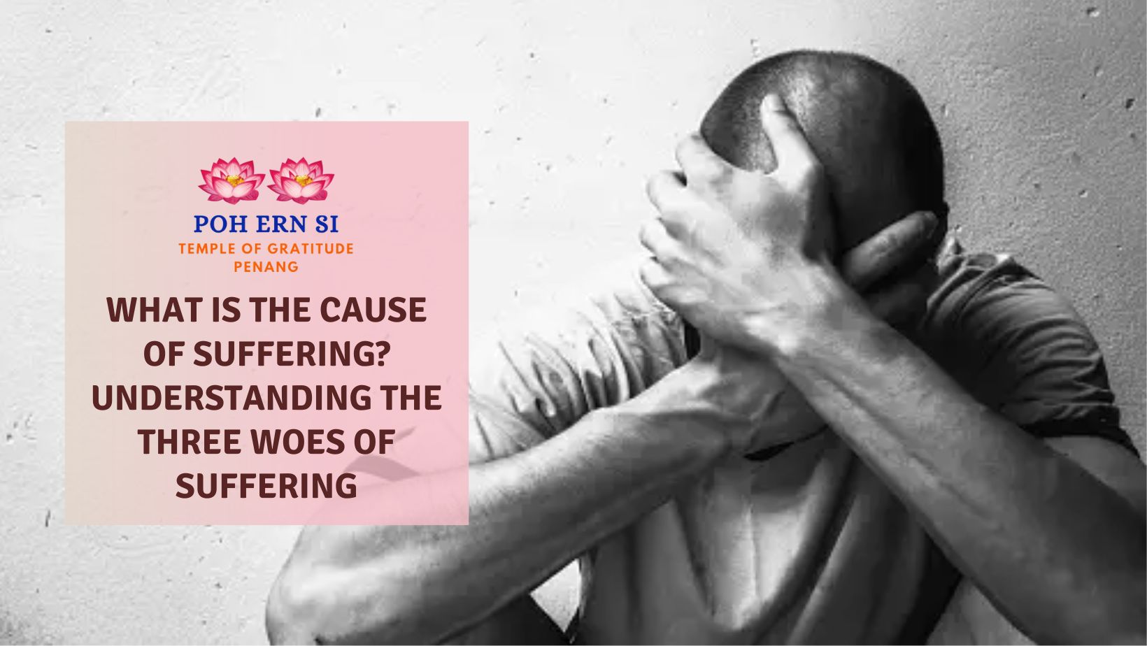 The Cause of Suffering, Explained - Poh Ern Si Penang